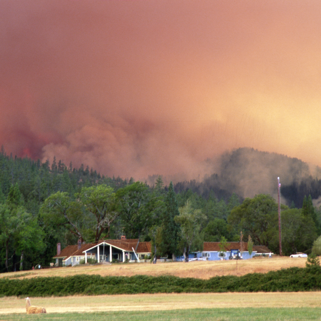 Create defensible space around homes and property. | Forest Fire Facts